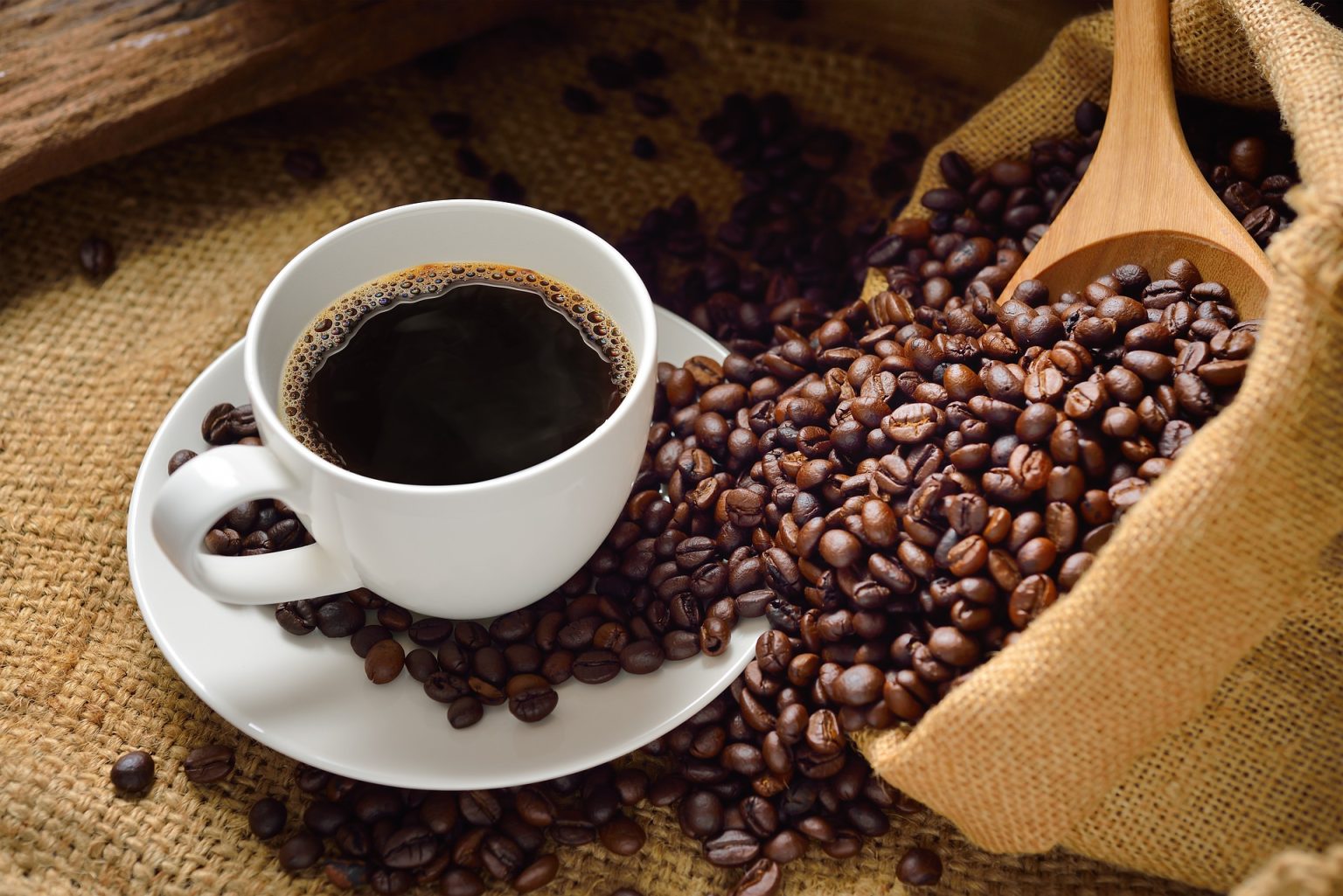 Test Sieves for Green Coffee according to ISO 4150